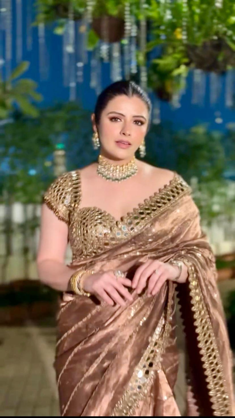 Bollywood Style Mirror Work Premium Saree – Pearl Apparels